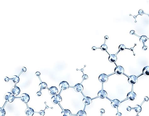 Biomolecole Mappa E Riassunto