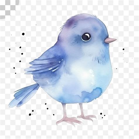 Pássaro bonito aquarela fundo transparente PSD Premium