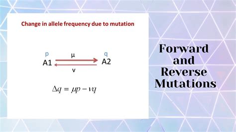 Forward And Reverse Mutations YouTube
