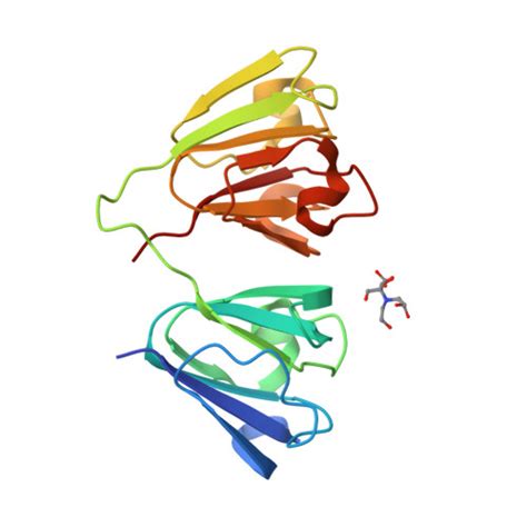 RCSB PDB 7N37 Crystal Structure Of 3 Site Deamidated Variant Of