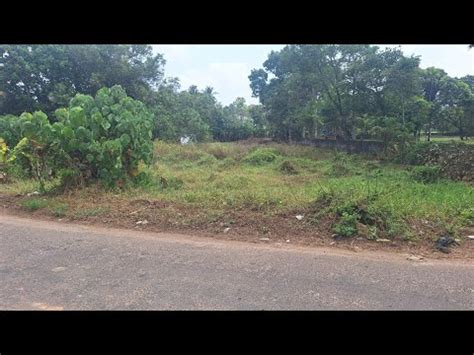 53 Cent Land For Sale In Nedumpasery Angamaly Price 6 5 Lakh Per Cent