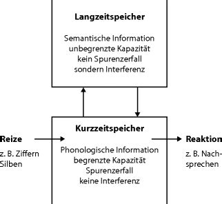 Mehrspeichermodelle Unterscheidung von Kurz und Langzeitgedächtnis