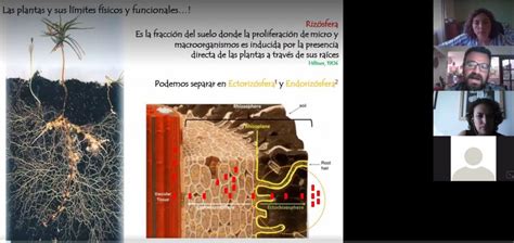 Coloquio de investigación abordó el rol de la rizósfera y de las