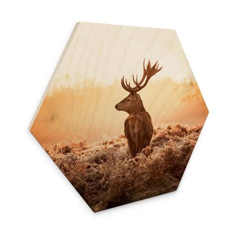 Holzbilder Online Shop Wandbilder Aus Holz Wall Art De