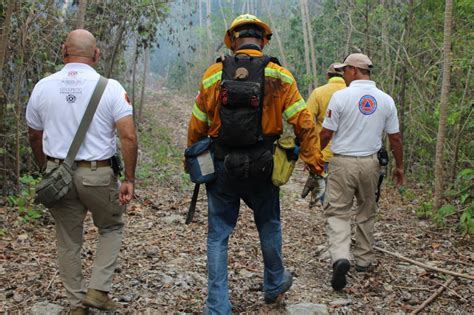 La Jornada Maya Quintana Roo La Jornada Maya Pese A Incendios
