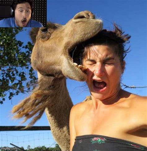 Camel Bite Imgflip