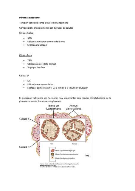 Fisiología del Páncreas Endocrino Nicola Lertora uDocz