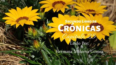 Segundo libro de Crónicas Capítulo 25 Leído Por Hermana Minerva