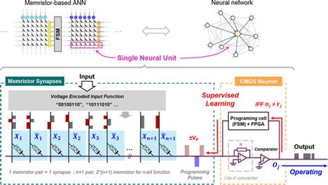 schematic representation of the neuromorphic learning system download scientific diagram