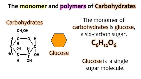 Carbohydrates AP Biology Topics 1 4 1 5 Updated YouTube