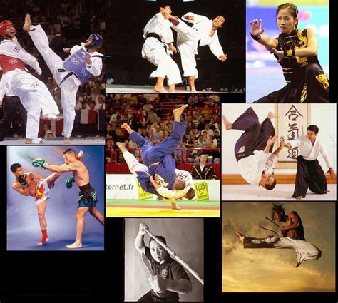 Mono De Kung Fu Como Escoger Un Arte Marcial