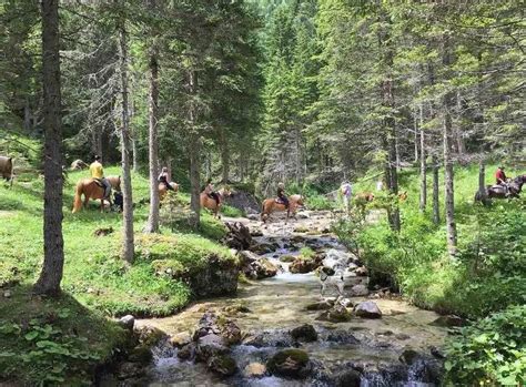 Passeggiata A Cavallo Sulle Dolomiti Di Zoldo Holidoit