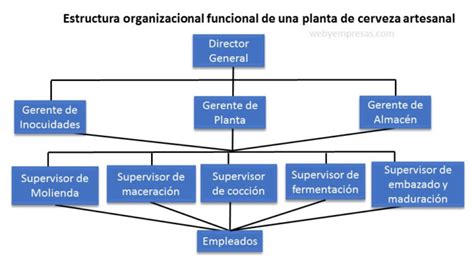 Ejemplos De Estructura Organizacional Web Y Empresas