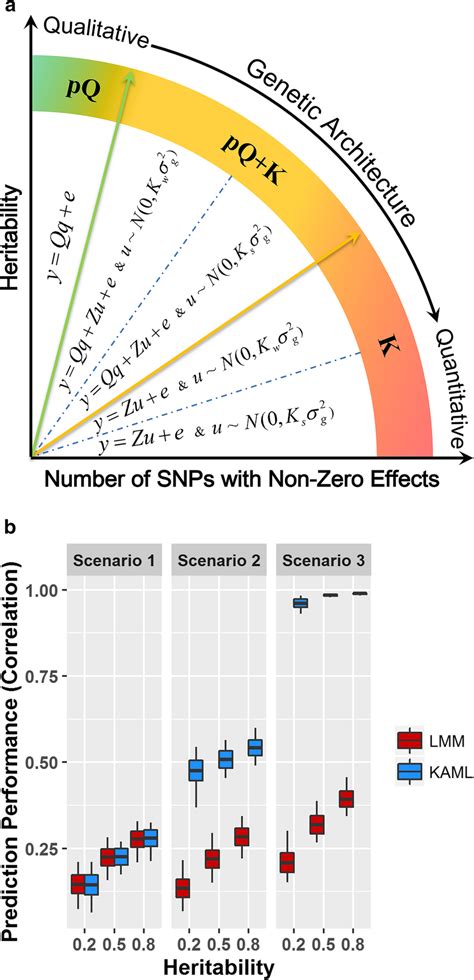 a summary of the achieved models in kaml five types of models could be download scientific