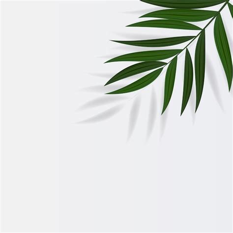 Folha De Palmeira Verde Realista Abstrata Tropical Vetor Premium