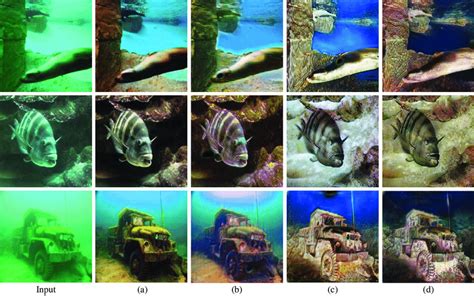 underwater image enhancement results according to the feature download scientific diagram