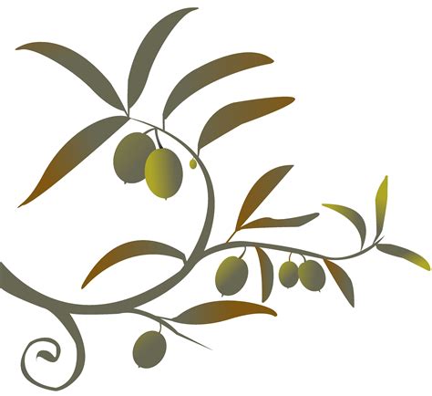 Olive Tree Clip Art Free ClipArt Best