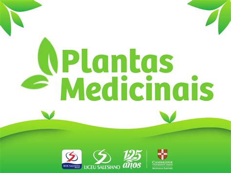 Plantas medicinais Colégio Liceu Salesiano