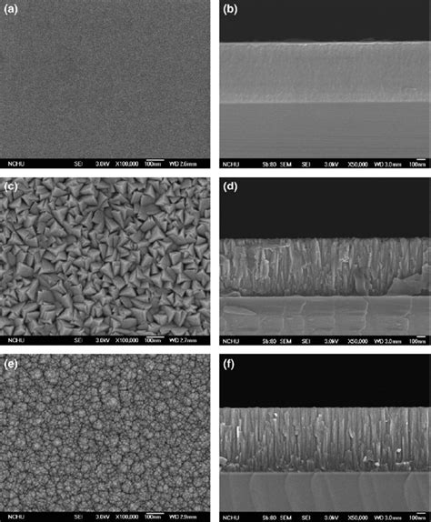 13 SEM Surface Morphologies And Cross Sectional Microstructures Of