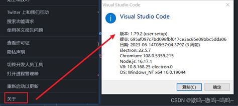 vscode离线安装插件提示版本不兼容，安装失败的处理方法 vscode插件版本不兼容 csdn博客