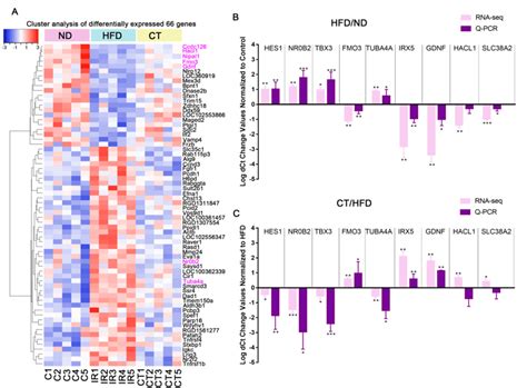 quantitative real time pcr validation of rna seq analysis of degs download scientific diagram