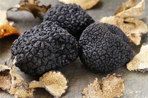 Descubre el sabor secreto de las trufas Te sorprenderá