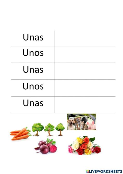 Ejercicio De Un Una Unos Unas Primer Grado De Primaria Lenguaje En