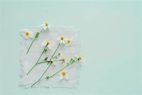 25 Incomparable Minimalist Aesthetic Flower Desktop Wallpaper You Can