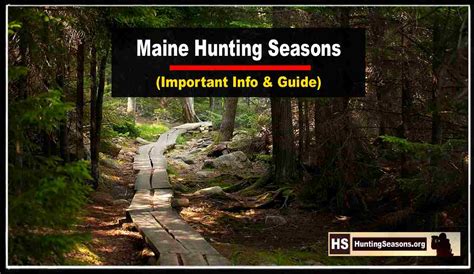 Maine Hunting Seasons 2024 Averil Brittney