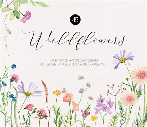 Waldbrand Clipart Flower