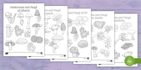 Canadian Fungi Colouring Sheets Teacher Made Twinkl