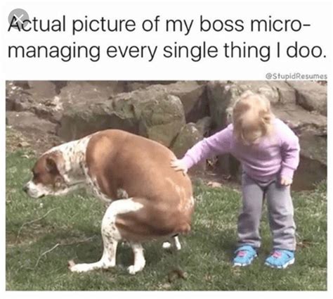 Funny Work Memes To Enjoy On Your Break Work Memes Dank Memes The