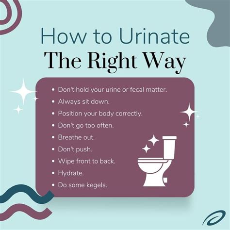 Tips For Correct Urination Avoid Bladder Issues