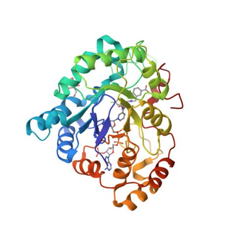 RCSB PDB 8B3N Human Aldose Reductase Mutant A299G L300G In Complex