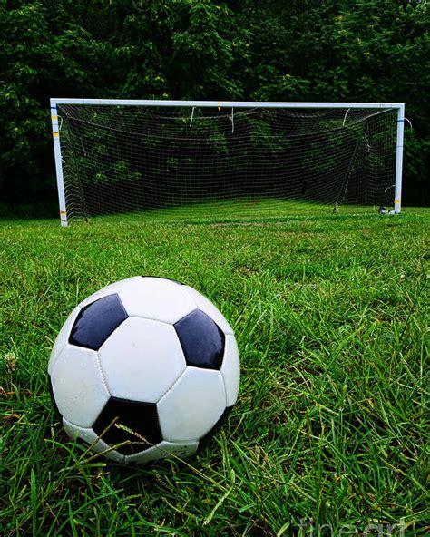 Soccer Field With Goal And Ball