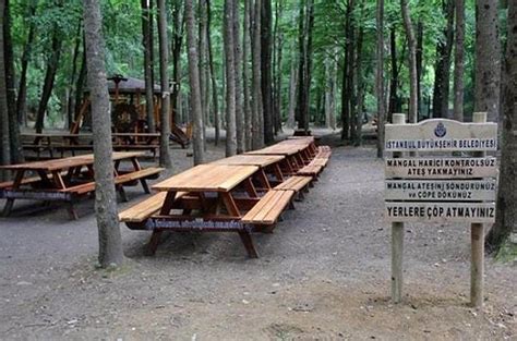 İstanbul Orman Yasakları 2024 Belgrad Ormanında Mangal Piknik Yasak mı
