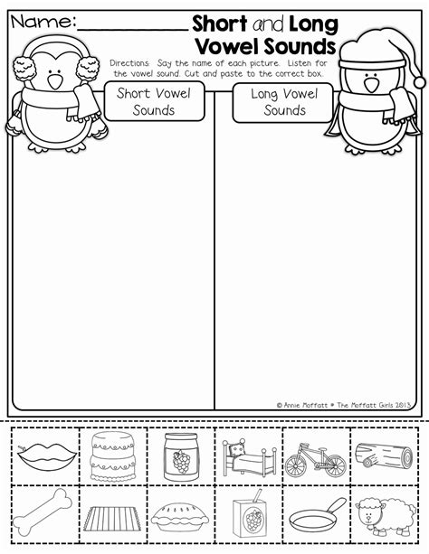 Long Vowel Vs Short Vowel Worksheet