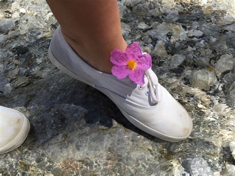 Life Of Keds