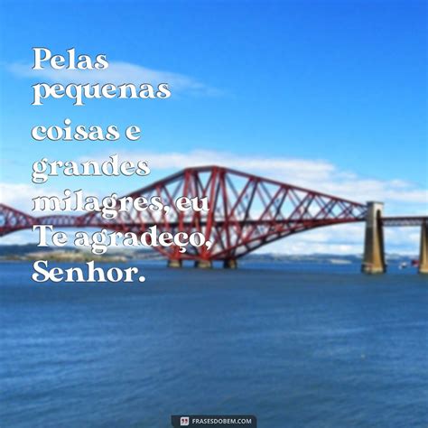 Descubra As Melhores Frases De Salmo De Agradecimento Para Expressar