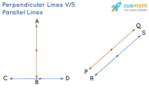 What Is Parallel And Perpendicular Lines Definition Facts And Examples
