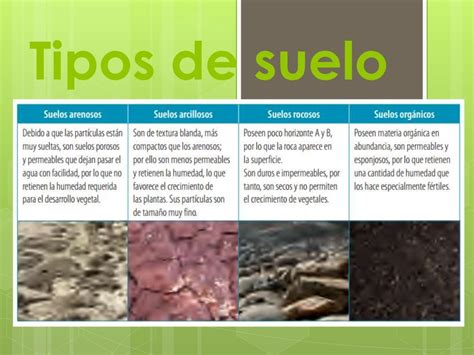 Suelo