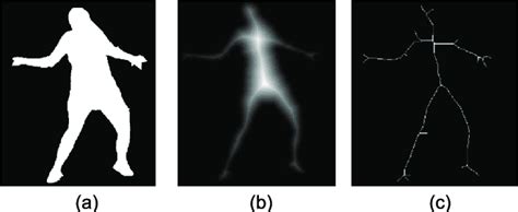 skeletonization results showing a the original binary images b download scientific