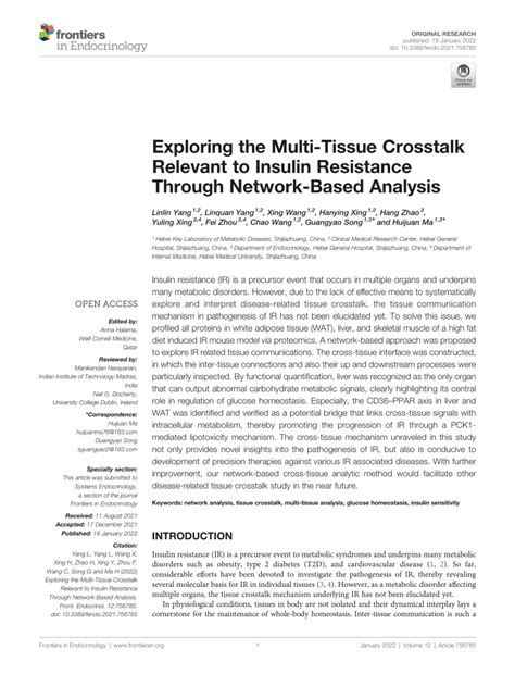 PDF Exploring The Multi Tissue Crosstalk Relevant To Insulin