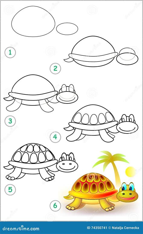 Como Dibujar Una Tortuga Paso A Paso Images And Photos Finder