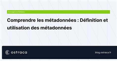 Comprendre les métadonnées Définition et utilisation des métadonnées