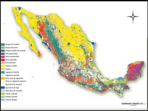 Geografia CCH UNAM Mapa Vegetacion Y Uso De Suelo En Mexico