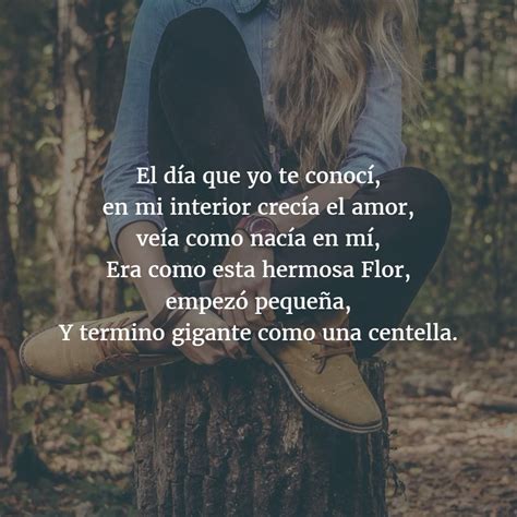 Sintético 99 Foto Poemas De Amor Para Enamorar A Una Mujer Hermosa