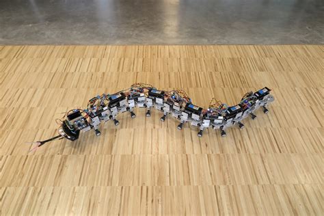 Snakebot