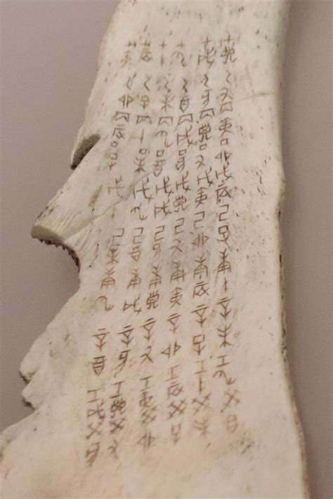 Los Huesos Oraculares El Origen De La Escritura China