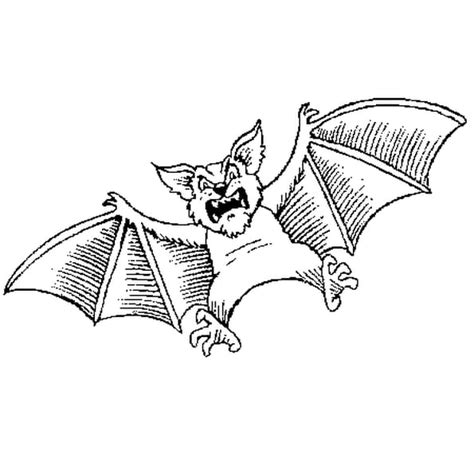 Coloriage chauve souris Halloween en Ligne Gratuit à imprimer